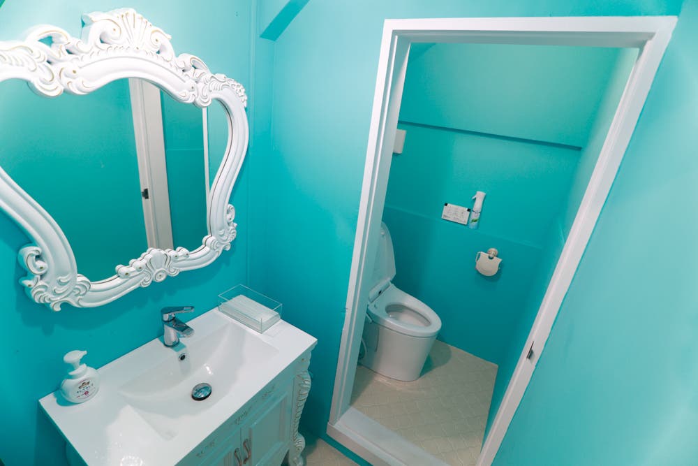 【スタジオジジ / 丸ノ内線 中野富士見町 徒歩30秒】/ 自然光 1h-5000円 / 花壁 / 馬車の写真10