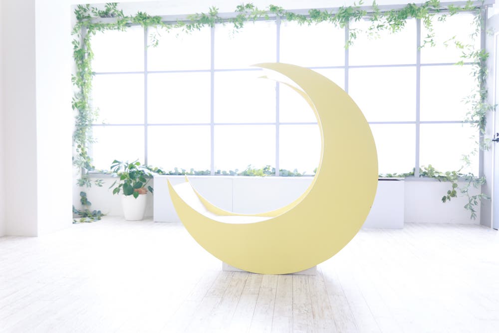 【スタジオジジ / 丸ノ内線 中野富士見町 徒歩30秒】/ 自然光 1h-5000円 / 花壁 / 馬車の写真11