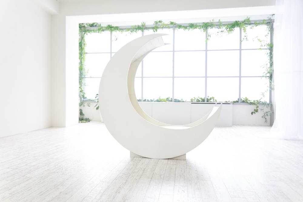 【スタジオジジ / 丸ノ内線 中野富士見町 徒歩30秒】/ 自然光 1h-5000円 / 花壁 / 馬車の写真12