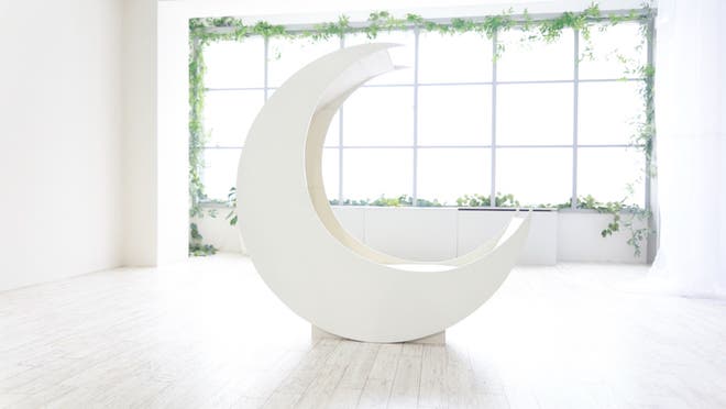 【スタジオジジ / 丸ノ内線 中野富士見町 徒歩30秒】/ 自然光 1h-5000円 / 花壁 / 馬車の写真12