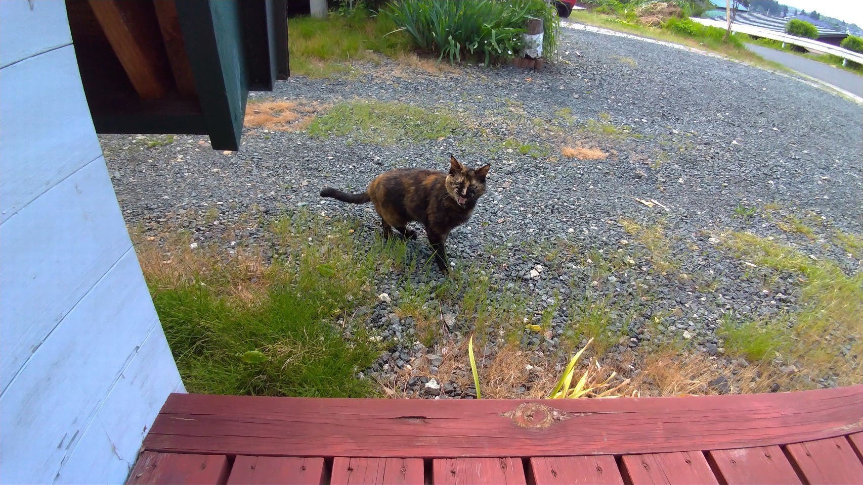 ログハウス風の木製小屋。デスクワークに、休憩に、趣味に、ちょこっと田舎でご自由にお寛ぎください。の写真21