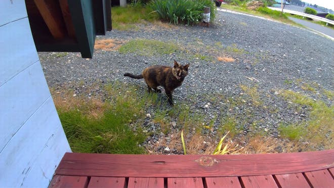 ログハウス風の木製小屋。デスクワークに、休憩に、趣味に、ちょこっと田舎でご自由にお寛ぎください。の写真21