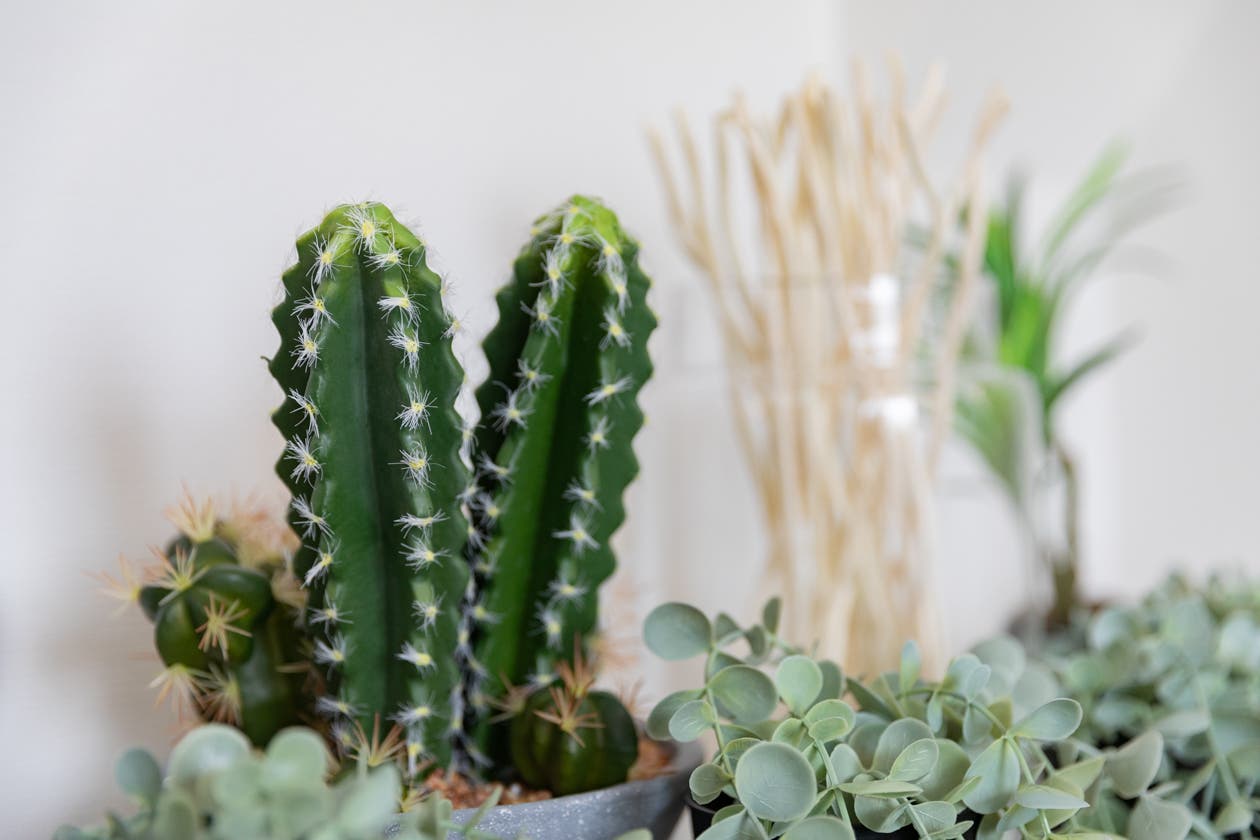 スペモ🏠クリスマス🎄歓送迎会👨‍🎓池袋駅8分🚶デート✨女子会🛋パーティー🥂プロジェクター🎥202_Shift池袋の写真22