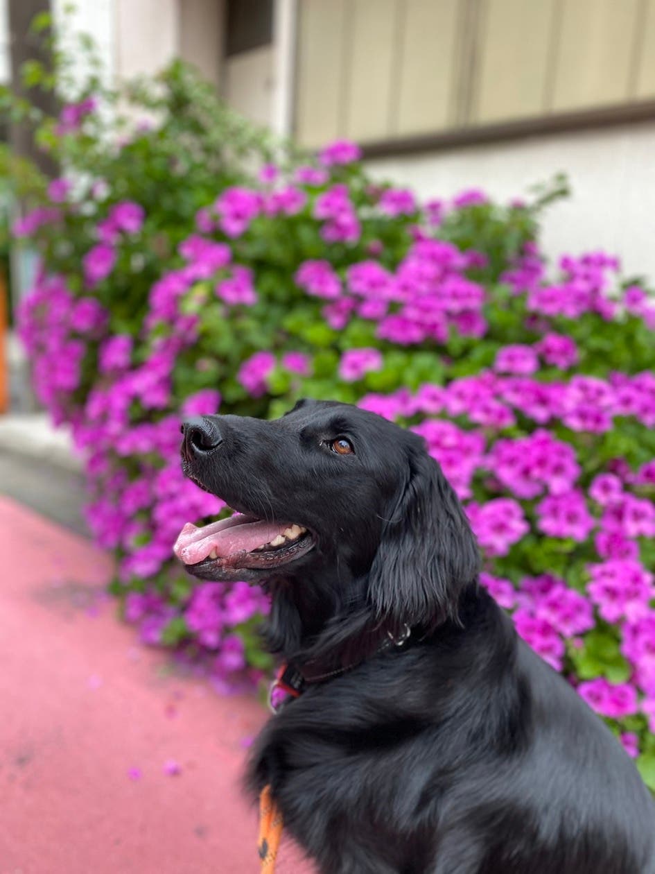 館長Kikiとの記念撮影の画像1