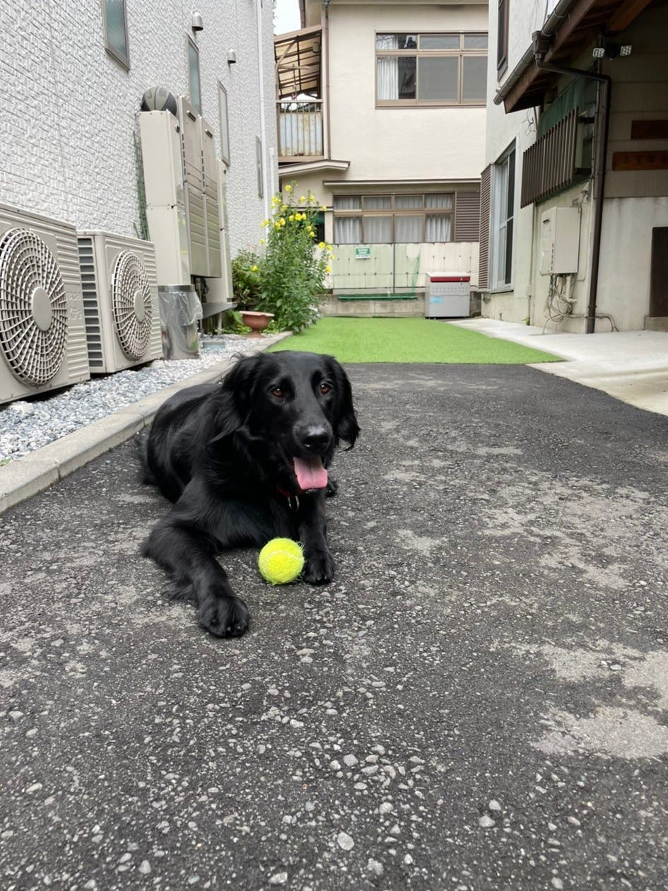 館長Kikiとの記念撮影の画像2