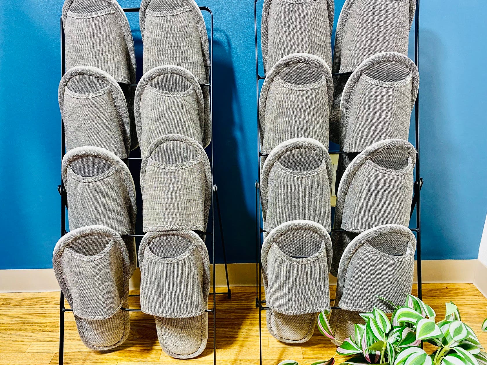 リピート割引有♪【オレガノ高槻駅前】高槻駅90秒！撮影特化/大型テレビ/24H営業/グリーン🍃いっぱいカフェ風スタジオ🌵の写真12