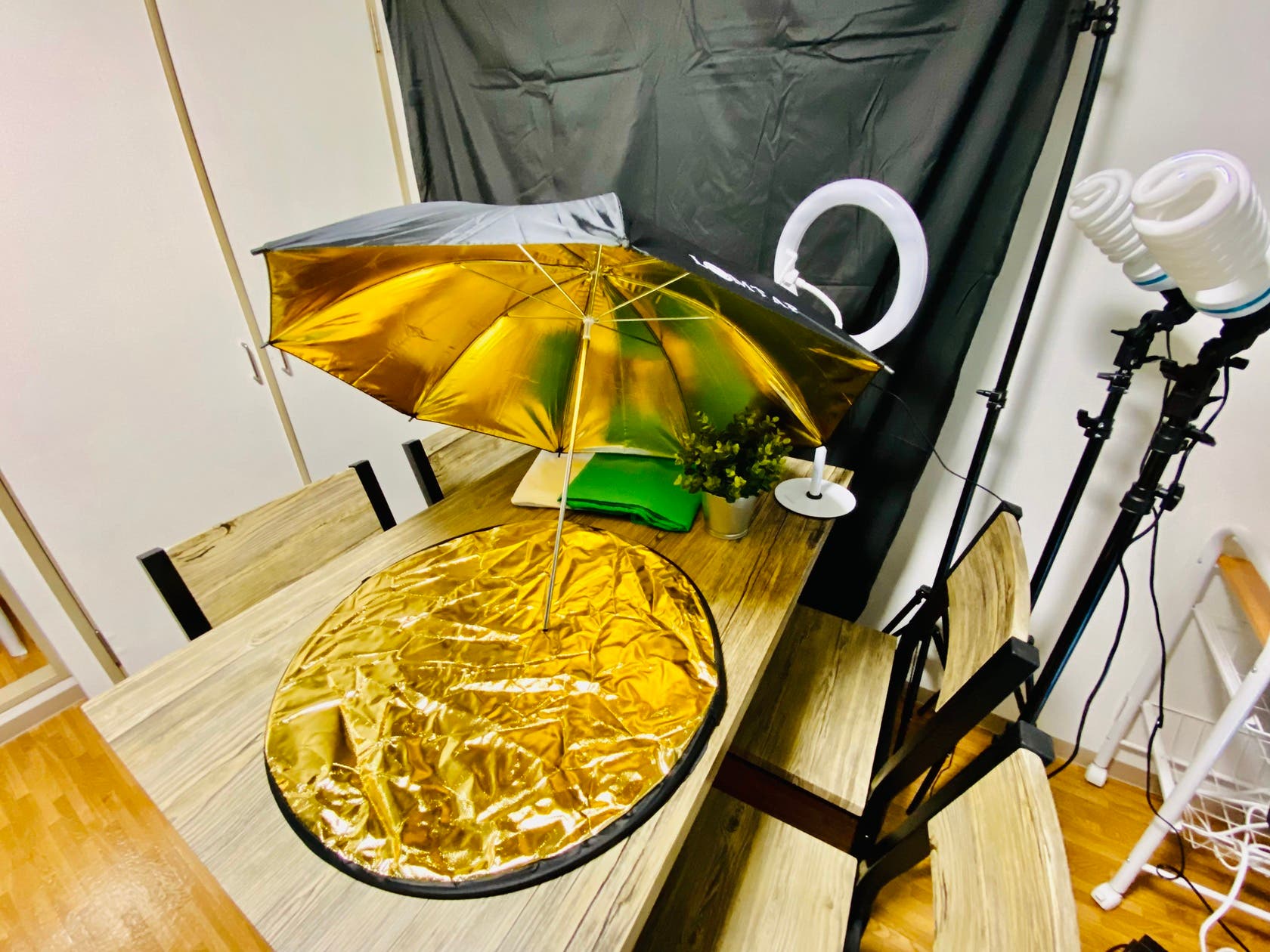 リピート割引有♪【オレガノ高槻駅前】高槻駅90秒！撮影特化/大型テレビ/24H営業/グリーン🍃いっぱいカフェ風スタジオ🌵の写真15