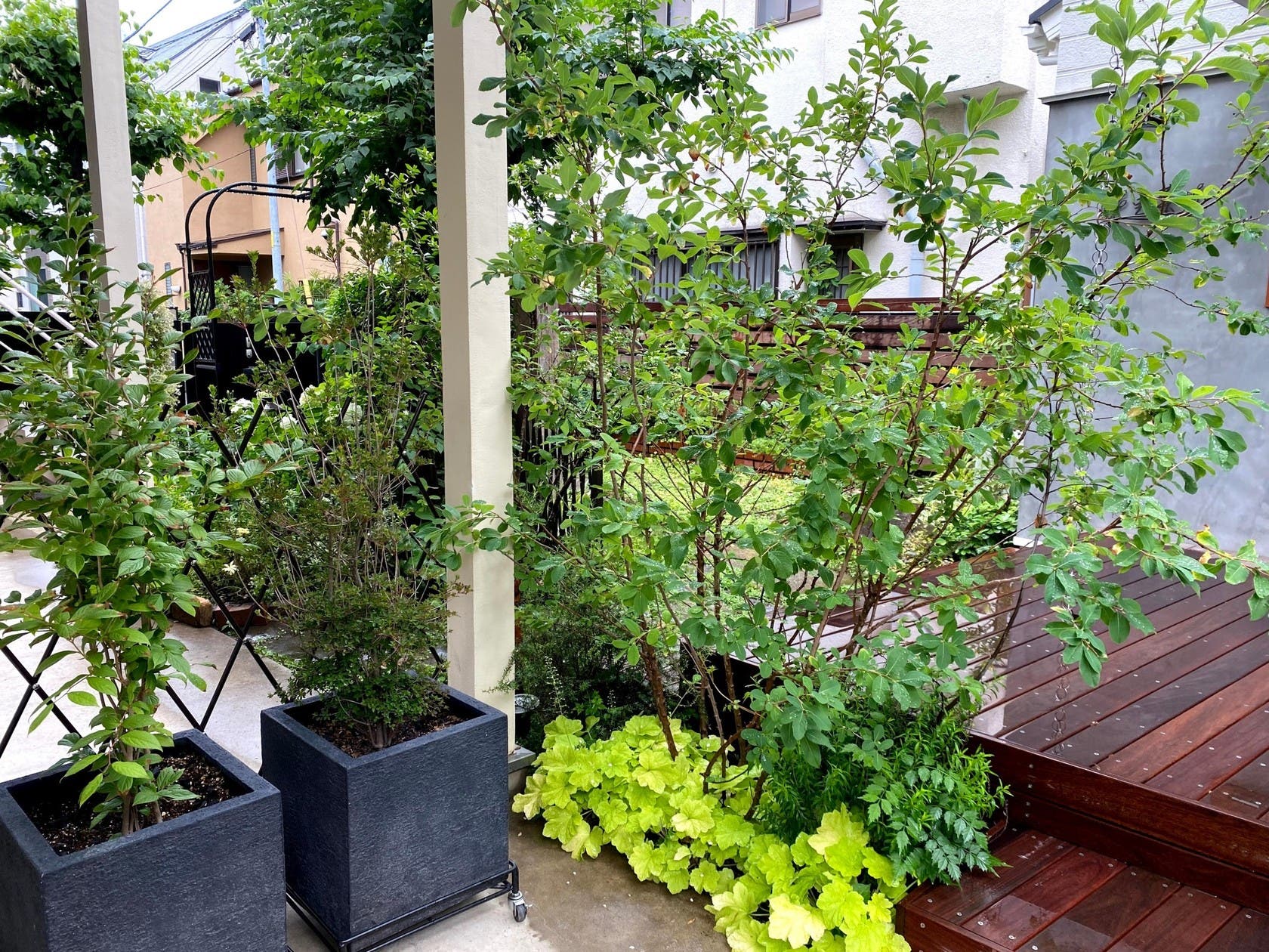 大塚駅から徒歩9分。一軒家をリノベしたおしゃれなブック&ガーデンカフェです。の写真15