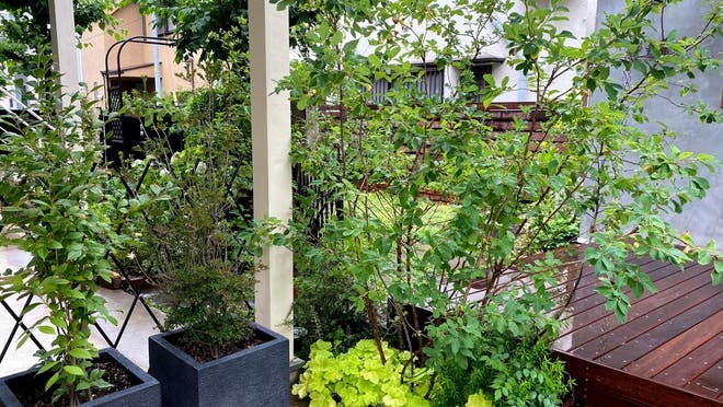 大塚駅から徒歩9分。一軒家をリノベしたおしゃれなブック&ガーデンカフェです。の写真15