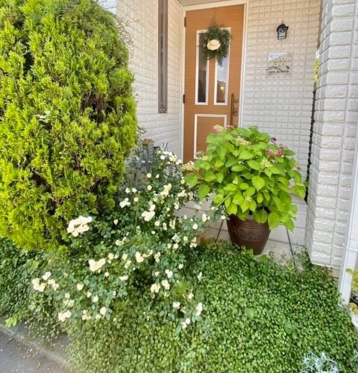 キッチン付きレンタルスペース 撮影/教室/食事会 堺東徒歩8分の写真9