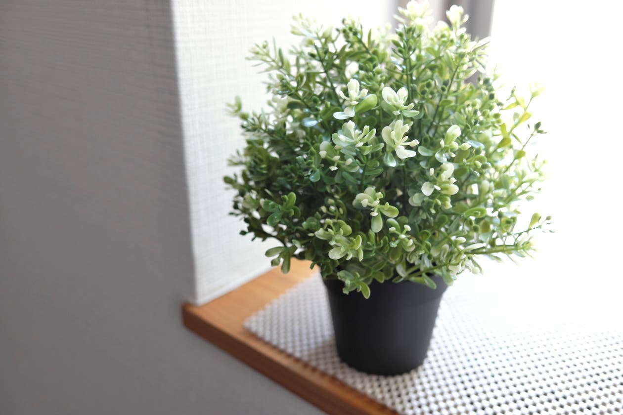 🌟川口駅3分🌟エリア最安❗高速光Wi-Fi📶 プロジェクター新設🎉 ホワイトボード📊 仕事・勉強・面接・作業などなどの写真23