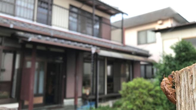 縁側からやさしい光の入る和室です。6+8畳で宴会や打合せなどゆっくり過ごせます。の写真3