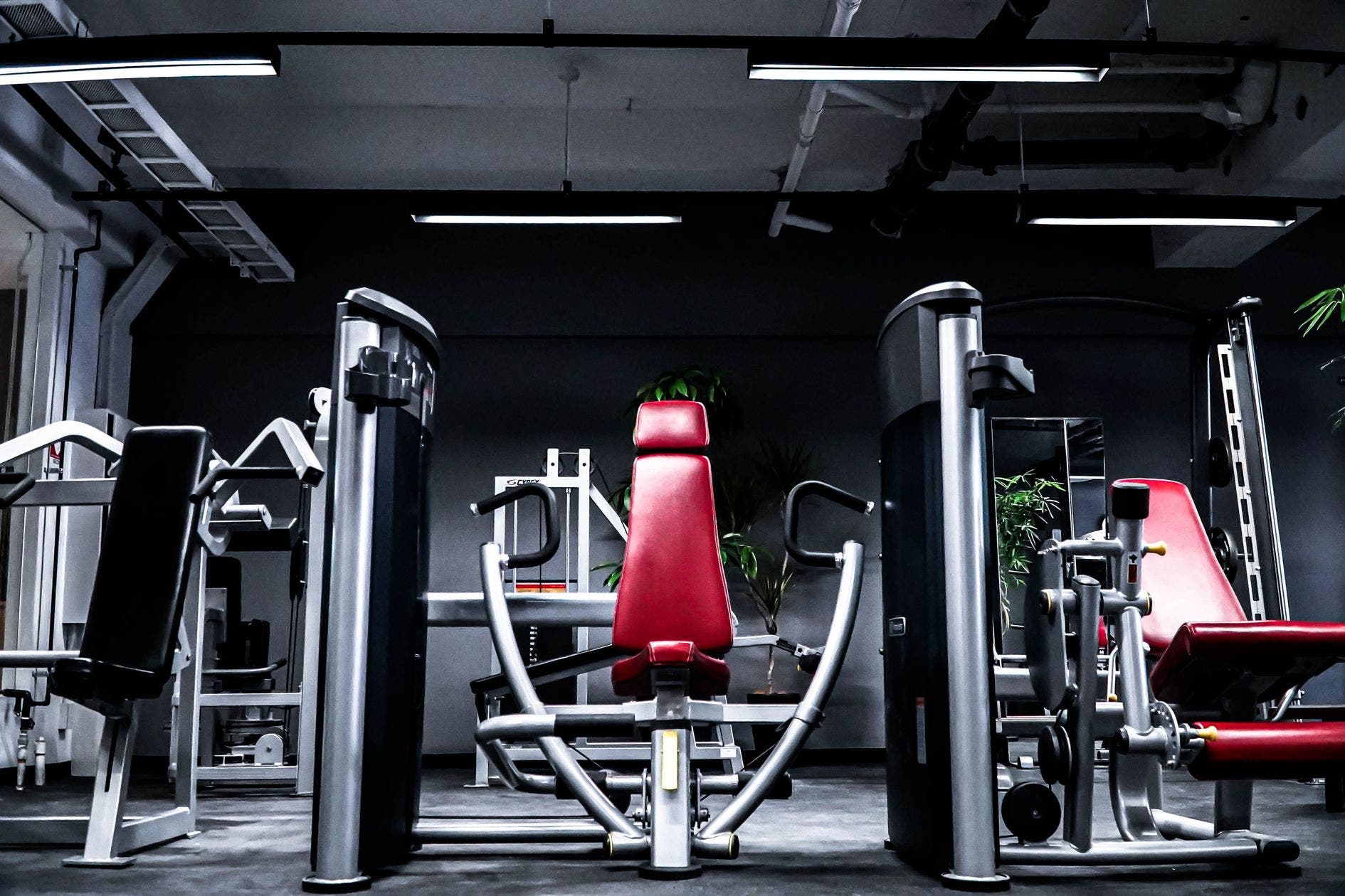 パーソナルトレーナー必見！20種類以上のマシンとフリーウェイト完備のレンタルジムの写真6