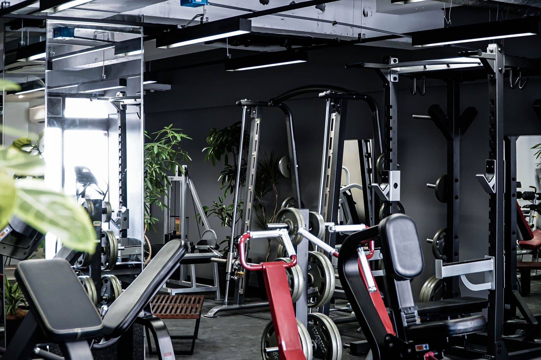 パーソナルトレーナー必見！20種類以上のマシンとフリーウェイト完備のレンタルジムの写真7