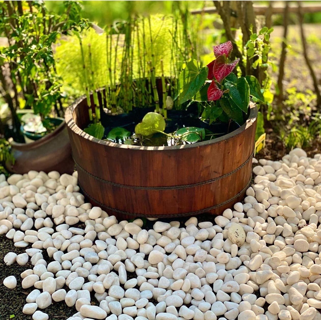 古民家民泊ｈａｎａｒｅ　緑の中の古民家でパーティーやテレワークをの写真15