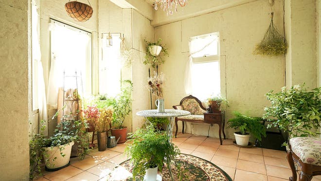 STUDIO67 Lumos 豊島園駅 徒歩5分 アンティーク家具に囲まれたシックで自然光の入るスタジオの写真2