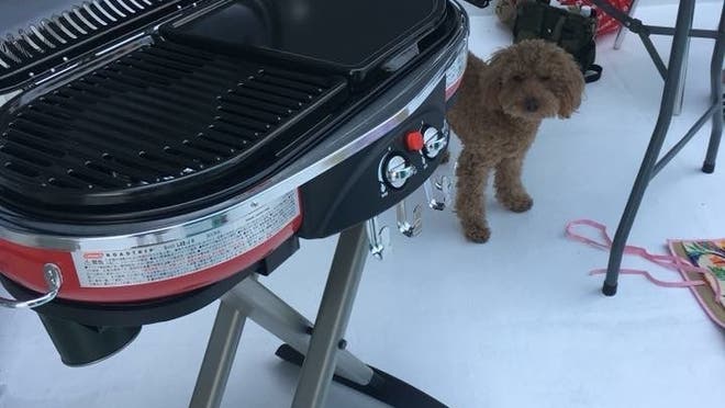 BBQ、歓送迎会、お誕生日パーティーを10人程度のプライベートスペースで安全安心に満喫!の写真3