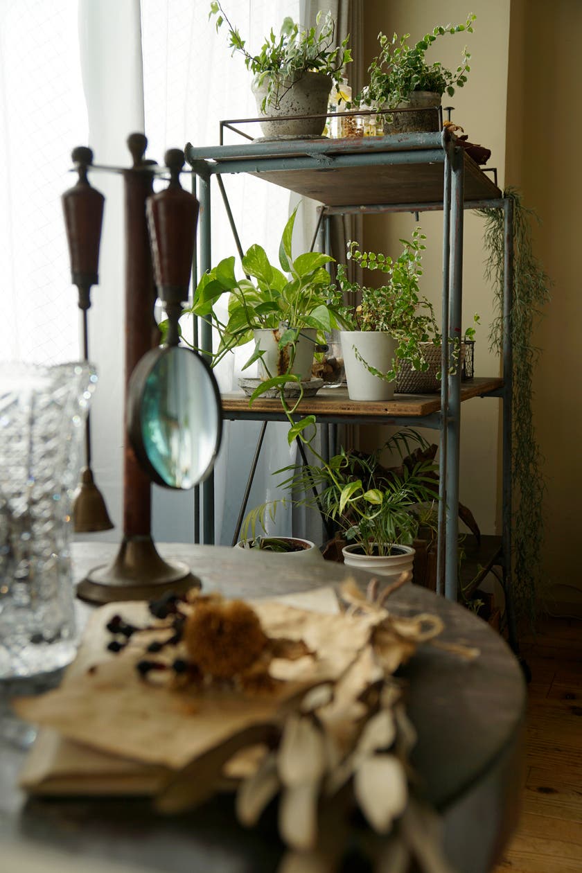 【京都】個人利用料金、大幅値下げ！！無垢の木の温もり感じる、自然光が心地良いハウススタジオの写真17