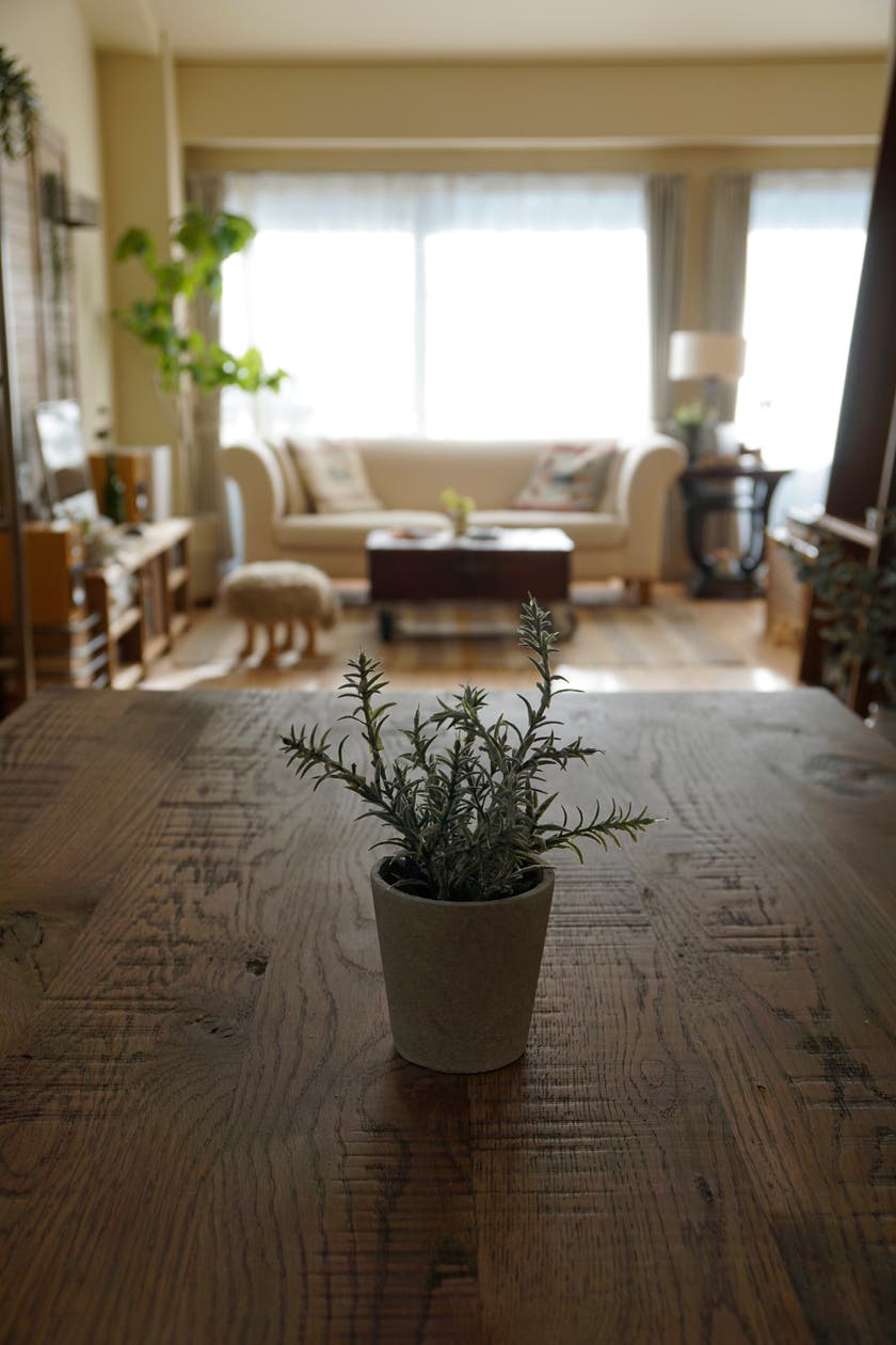 【京都】個人利用料金、大幅値下げ！！無垢の木の温もり感じる、自然光が心地良いハウススタジオの写真22