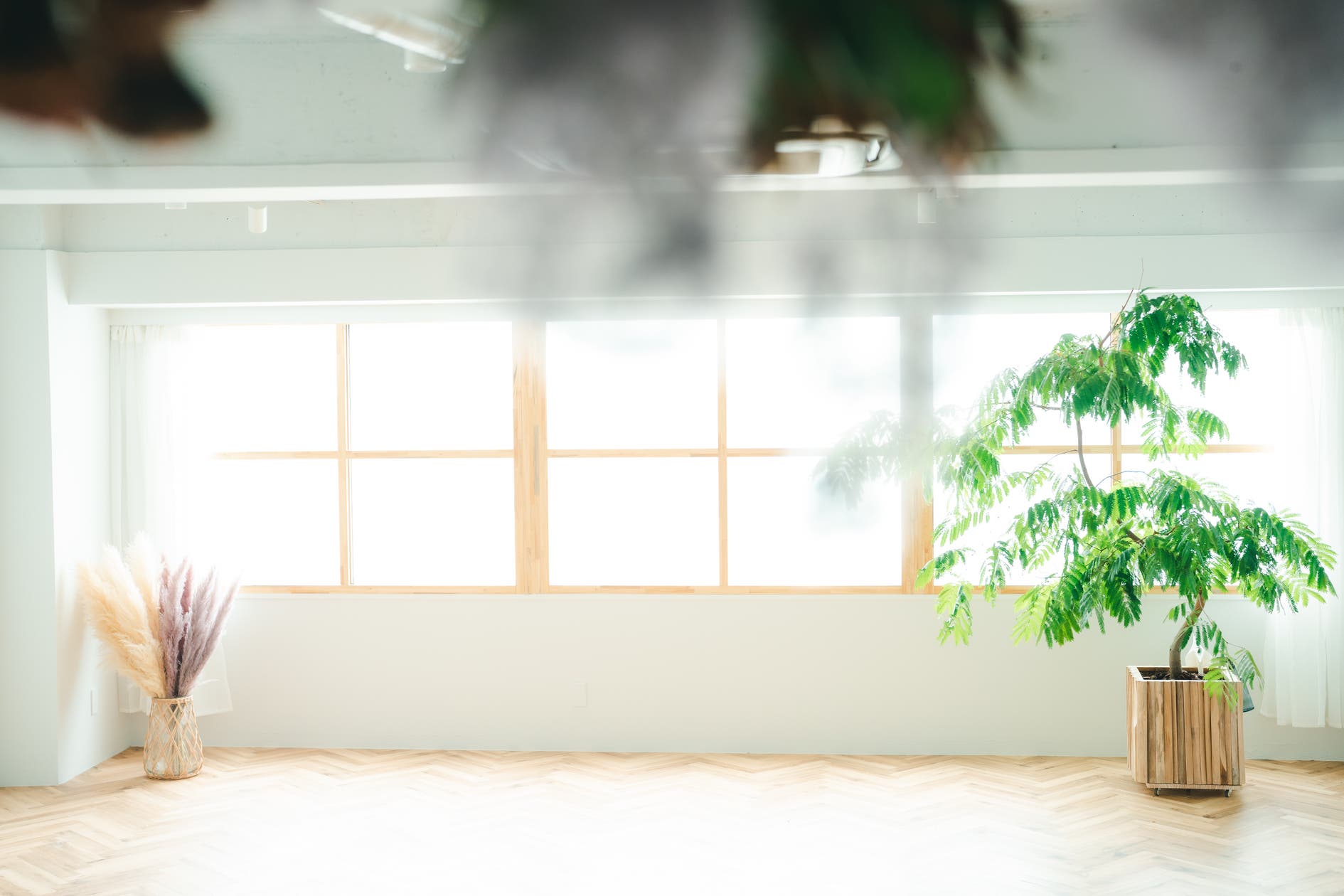 広さ200平米　天井高３mの南向き一面に窓がある自然光が明るい大阪レンタルスタジオRoom01の写真4