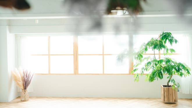 広さ200平米 天井高3mの南向き一面に窓がある自然光が明るい大阪レンタルスタジオRoom01の写真4