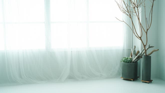 広さ200平米 天井高3mの南向き一面に窓がある自然光が明るい大阪レンタルスタジオRoom01の写真5