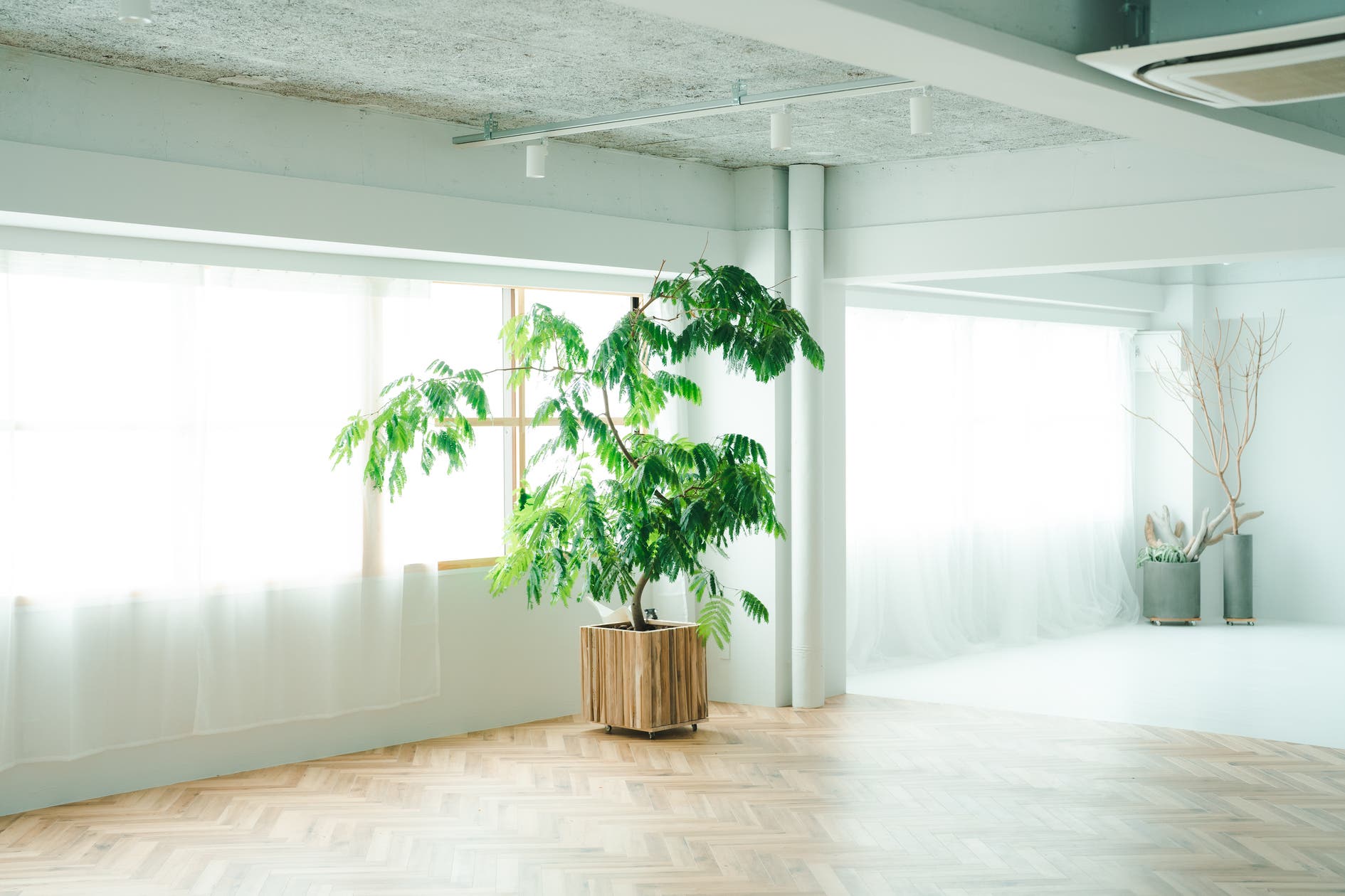 広さ200平米　天井高３mの南向き一面に窓がある自然光が明るい大阪レンタルスタジオRoom01の写真6