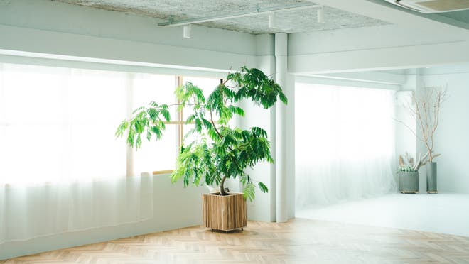 広さ200平米 天井高3mの南向き一面に窓がある自然光が明るい大阪レンタルスタジオRoom01の写真6