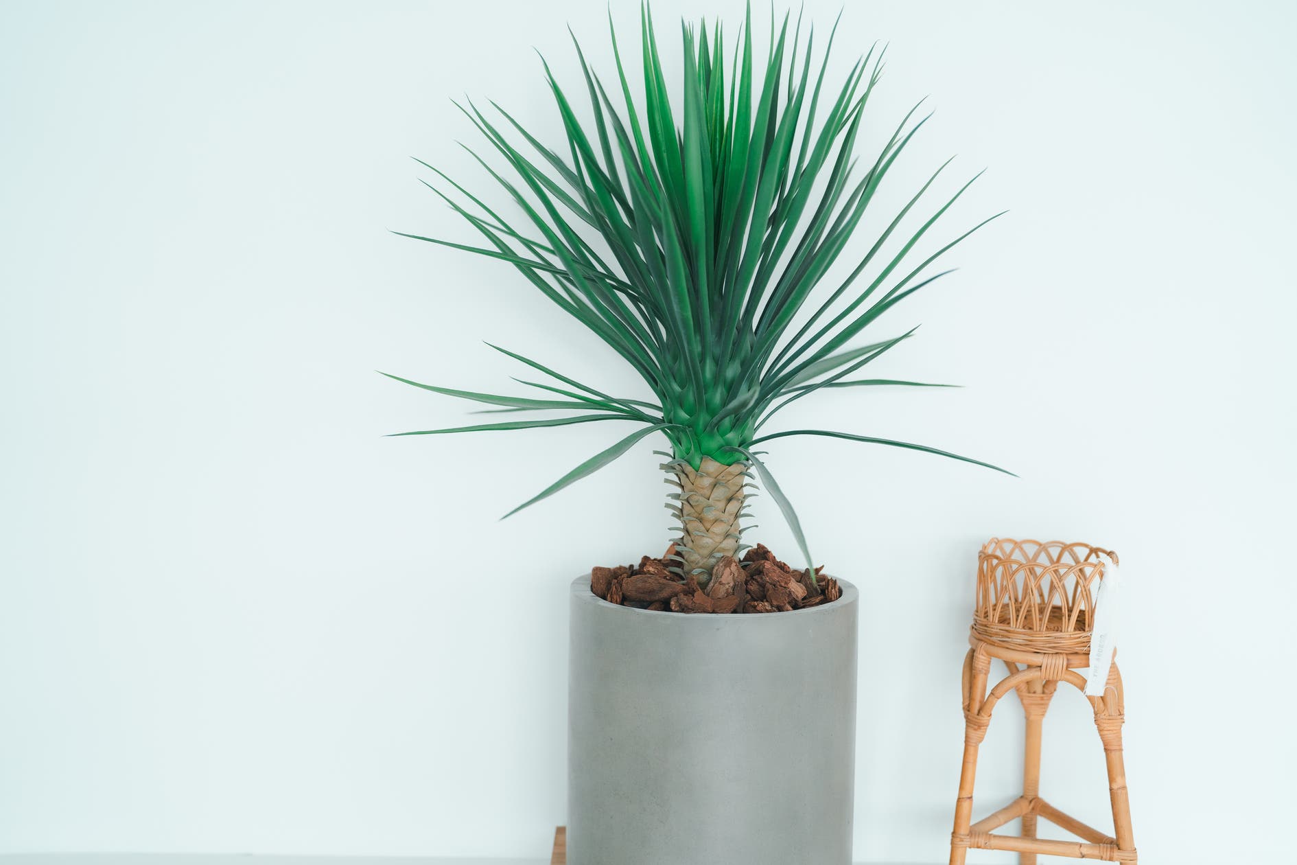 広さ200平米　天井高３mの南向き一面に窓がある自然光が明るい大阪レンタルスタジオRoom01の写真14