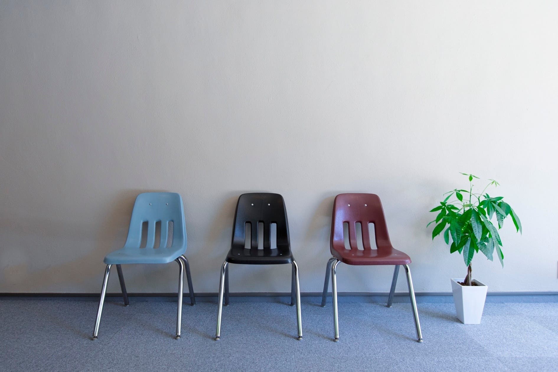 自然光あふれる☀️撮影スペースとして最適🌟 パーティーや会議利用でもどうぞ🌳の写真8