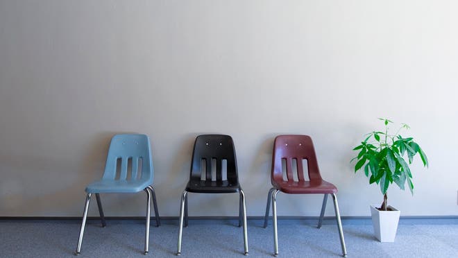 自然光あふれる☀️撮影スペースとして最適🌟 パーティーや会議利用でもどうぞ🌳の写真8