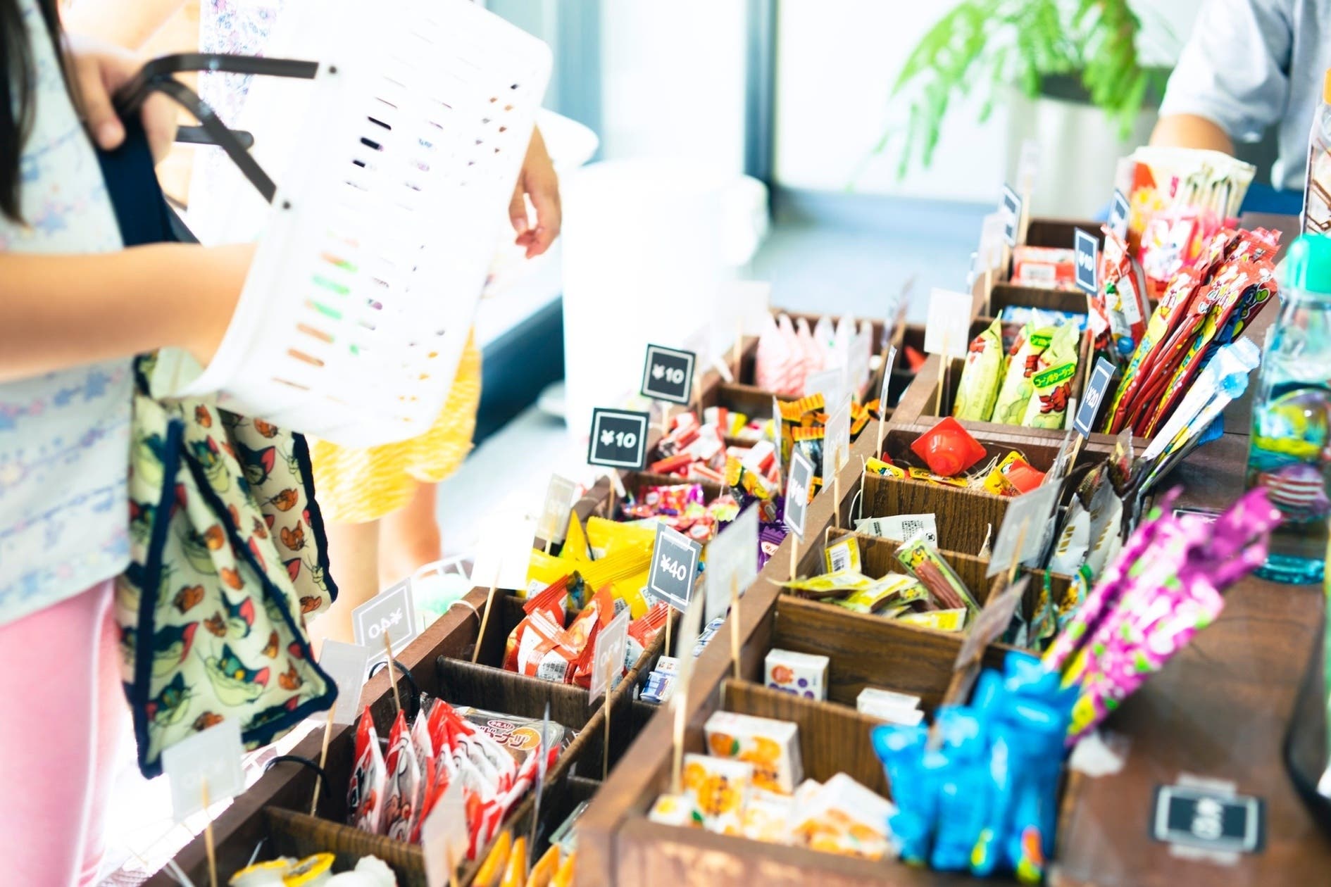 自然光あふれる☀️撮影スペースとして最適🌟 パーティーや会議利用でもどうぞ🌳の写真16