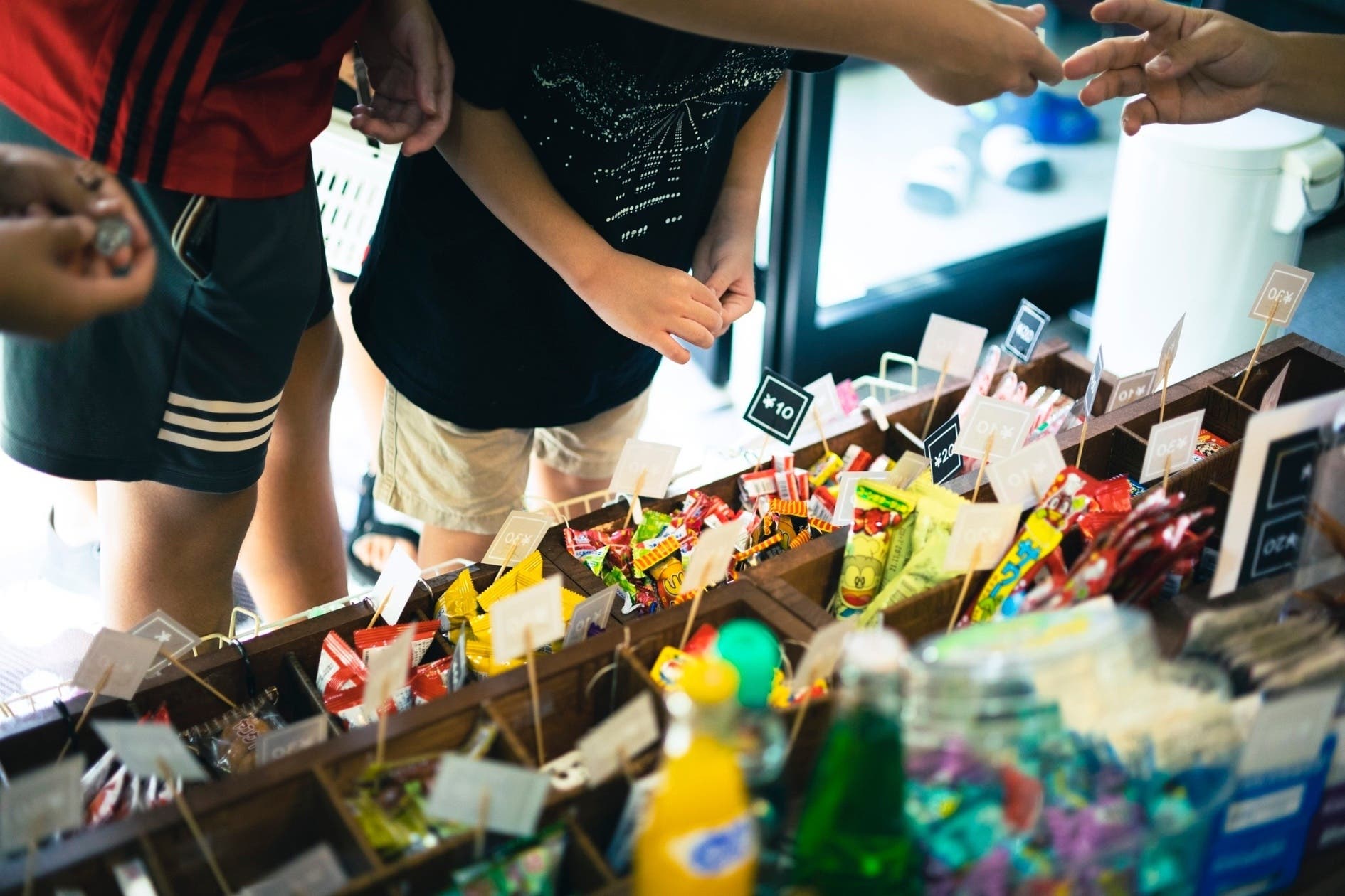 自然光あふれる☀️撮影スペースとして最適🌟 パーティーや会議利用でもどうぞ🌳の写真15