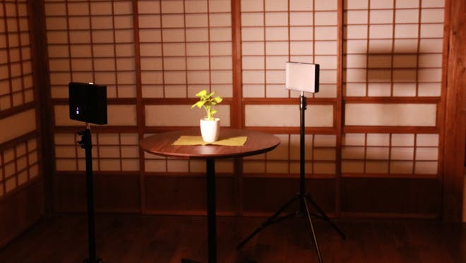 【 駅チカ徒歩5分 】ポートレート・レトロ和室・自然光・コスプレ・結婚式・成人式前撮り・七五三・動画撮影・商品撮影・物撮りの写真12