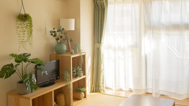 歌舞伎町507の写真2