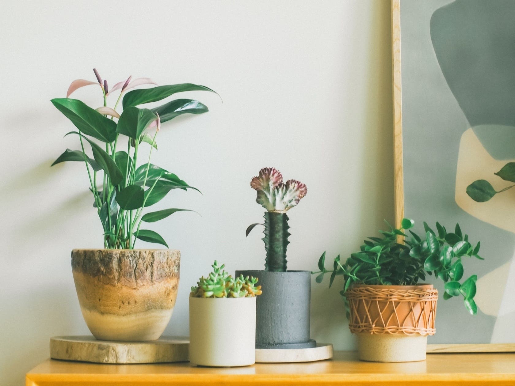 広さ200平米　天井高３mの南向き一面に窓がある自然光が明るい大阪レンタルスタジオRoom01の写真19