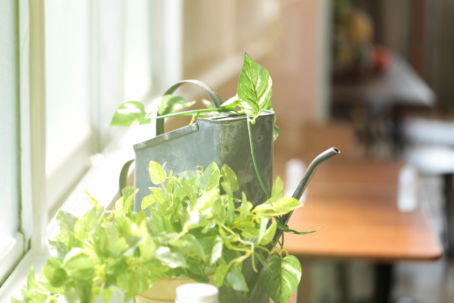 プチリニューアル。控室あり。自然光がたっぷり入る使いやすいシンプルな撮影スタジオ。の写真18