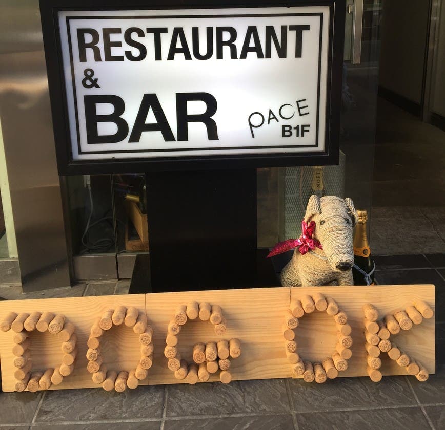 【六本木・麻布十番】駅徒歩5分！吹き抜けのある開放的なレストランを貸切！日中の子連れママ会にもおすすめ！の写真8