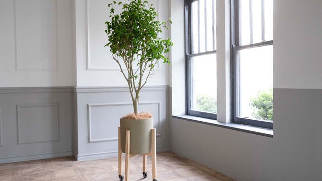 【代官山駅8分】ギャラリーや展示会に適した白×ライトグレーのモダンなイベントスペースの写真22