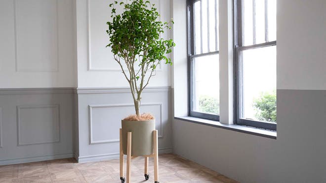 【代官山駅8分】ギャラリーや展示会に適した白×ライトグレーのモダンなイベントスペースの写真9