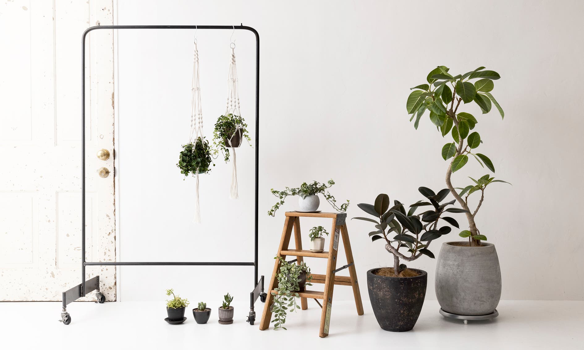 自然光がきれいな中目黒のハウススタジオの写真6