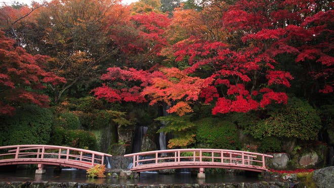 公益財団法人 陽光美術館 日本庭園 慧洲園の写真2