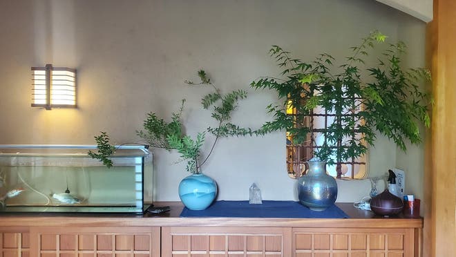 セラピー専用ルーム「アロマ、整体、リラクゼーションなど」電動ベットの写真16