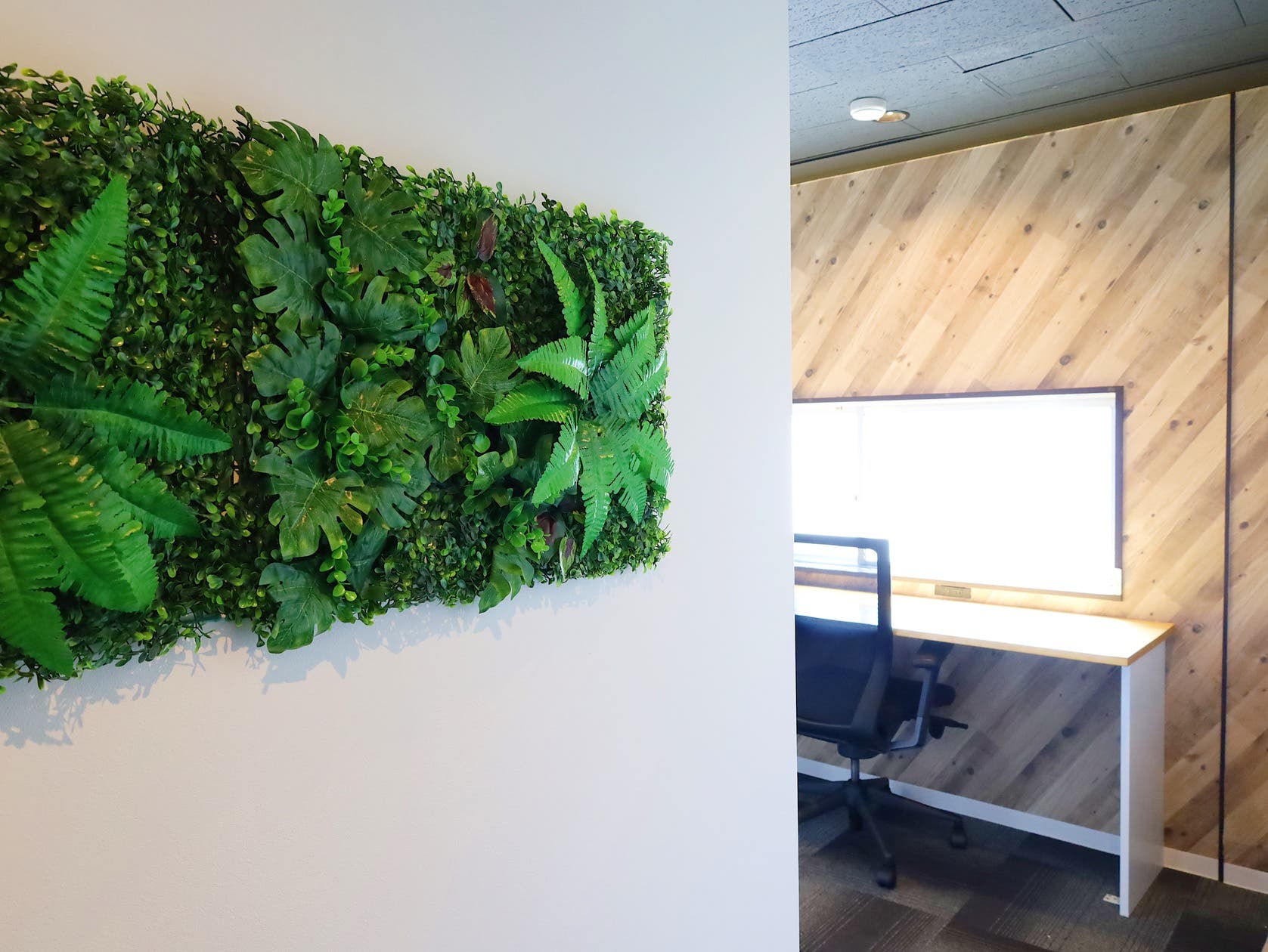 ★NEW★【駒込2分】ドア付き1人用個室ブース。Zoom会議、PC作業、動画撮影、勉強等。超高速WIFI 2Gbps（A-4）の写真9