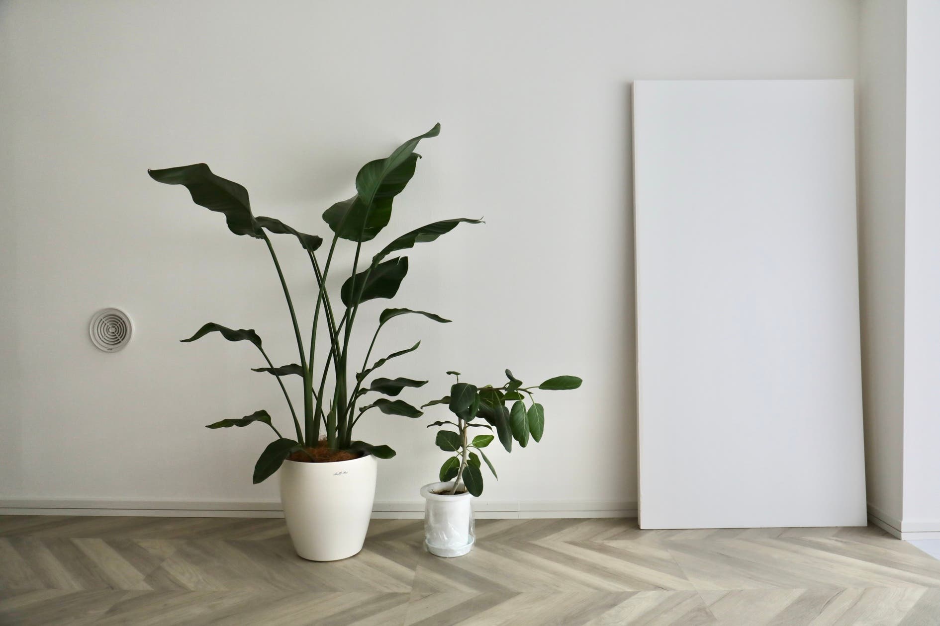 【新宿・代々木】自然光がたっぷりはいるレンタルスペース　TV・雑誌の撮影多数の写真6