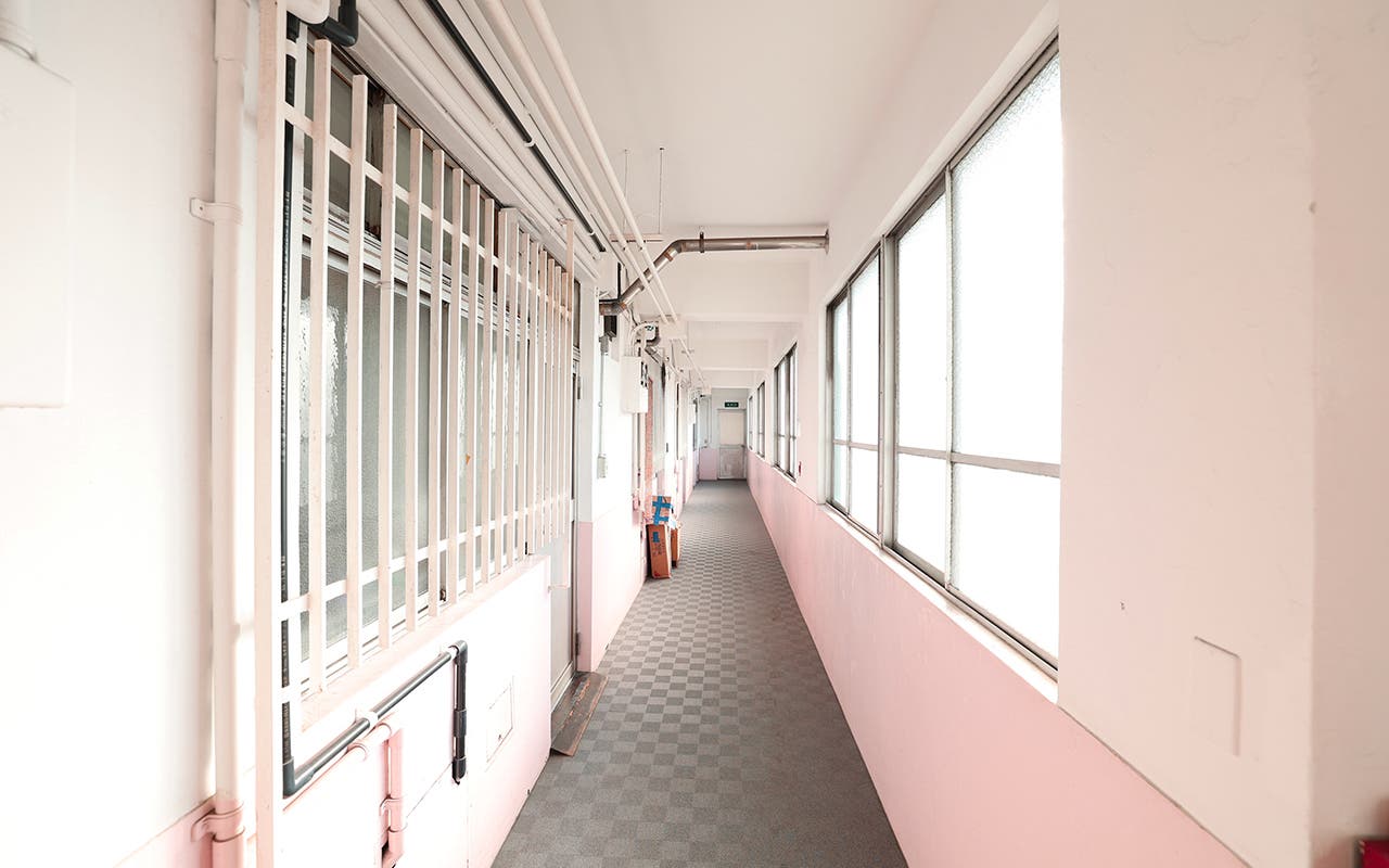 代々木ヴィンテージマンション内の自然光と木とドライフラワーに包まれたの空間の写真26