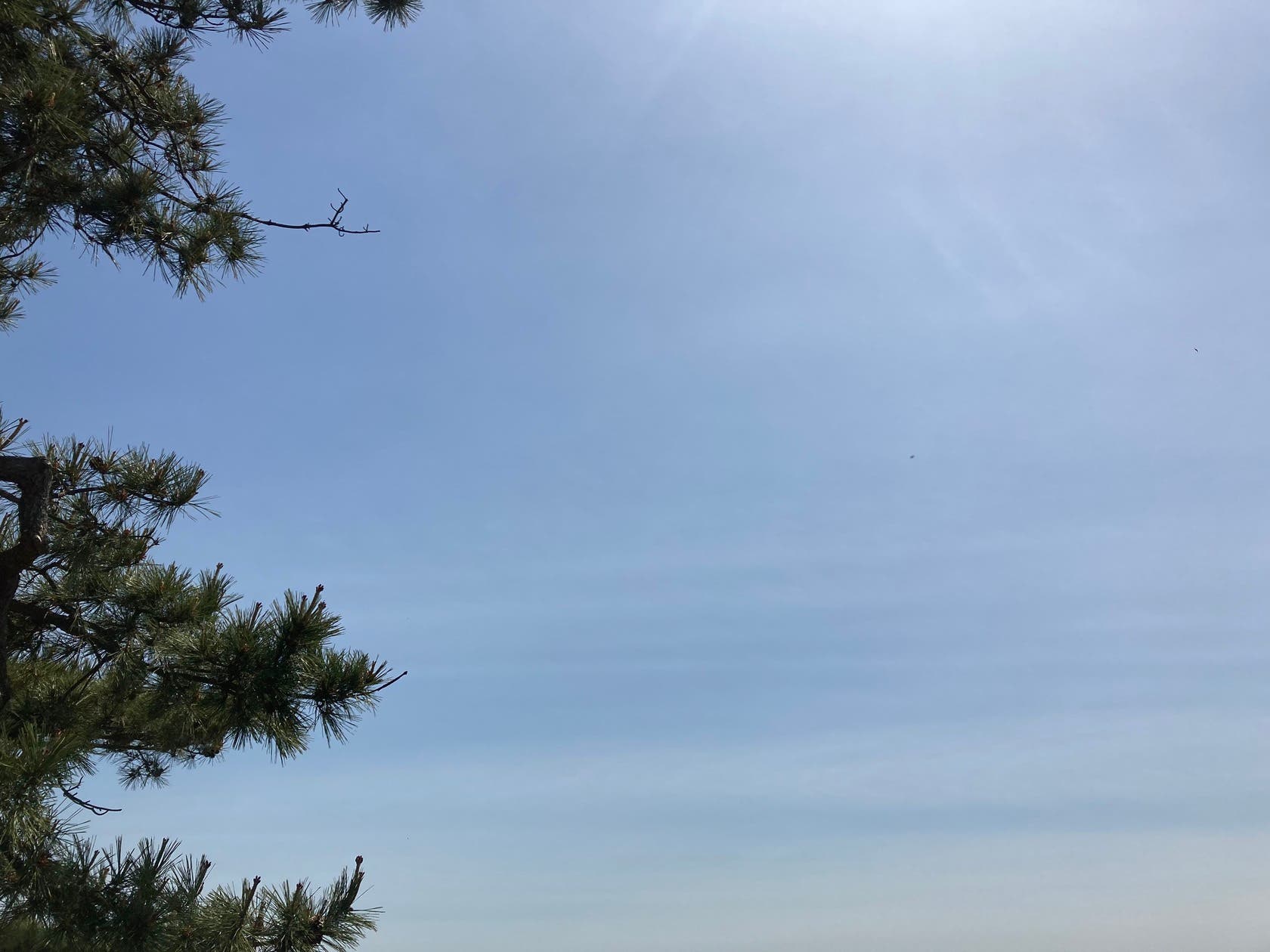 海まで300m! 潮風を感じる広々LDKのワークスペースの写真12