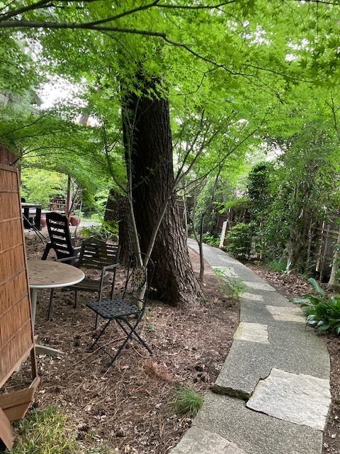 江戸末期の建物で、庭には樹齢約200年の松があるパワースポットの写真4