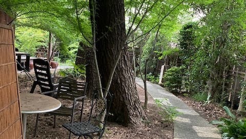 江戸末期の建物で、庭には樹齢約200年の松があるパワースポットの写真4