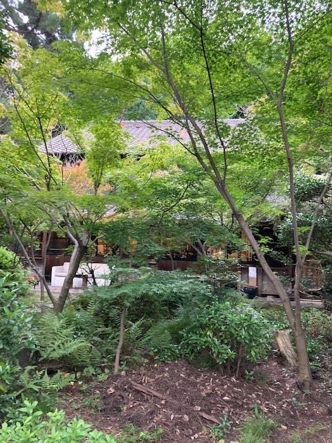 江戸末期の建物で、庭には樹齢約200年の松があるパワースポットの写真19